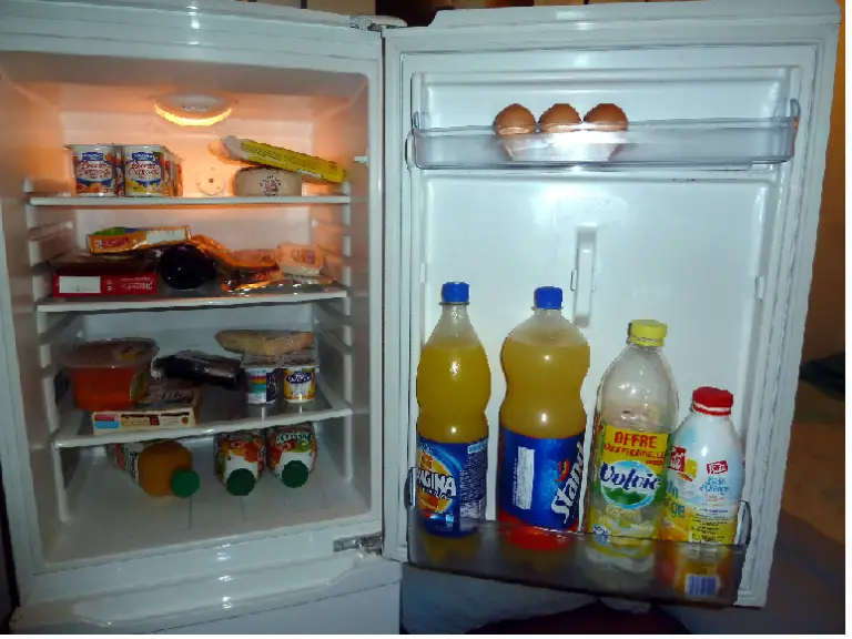 7 Common RV Refrigerator Problems and Issues - Camper Grid 7 Common RV Refrigerator Problems and Issues - Camper Grid